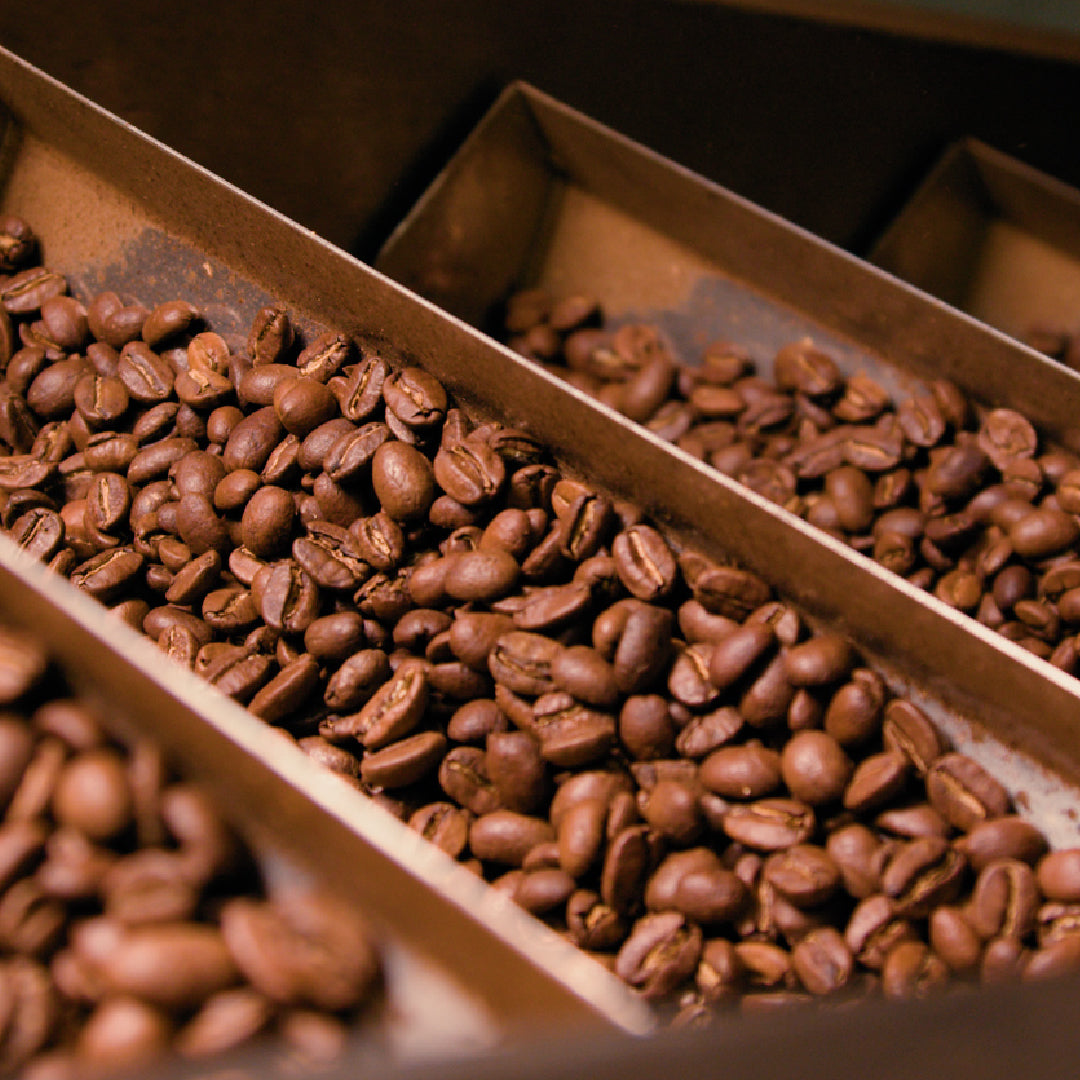 5 Secrets to Great Coffee – Gabriel Coffee