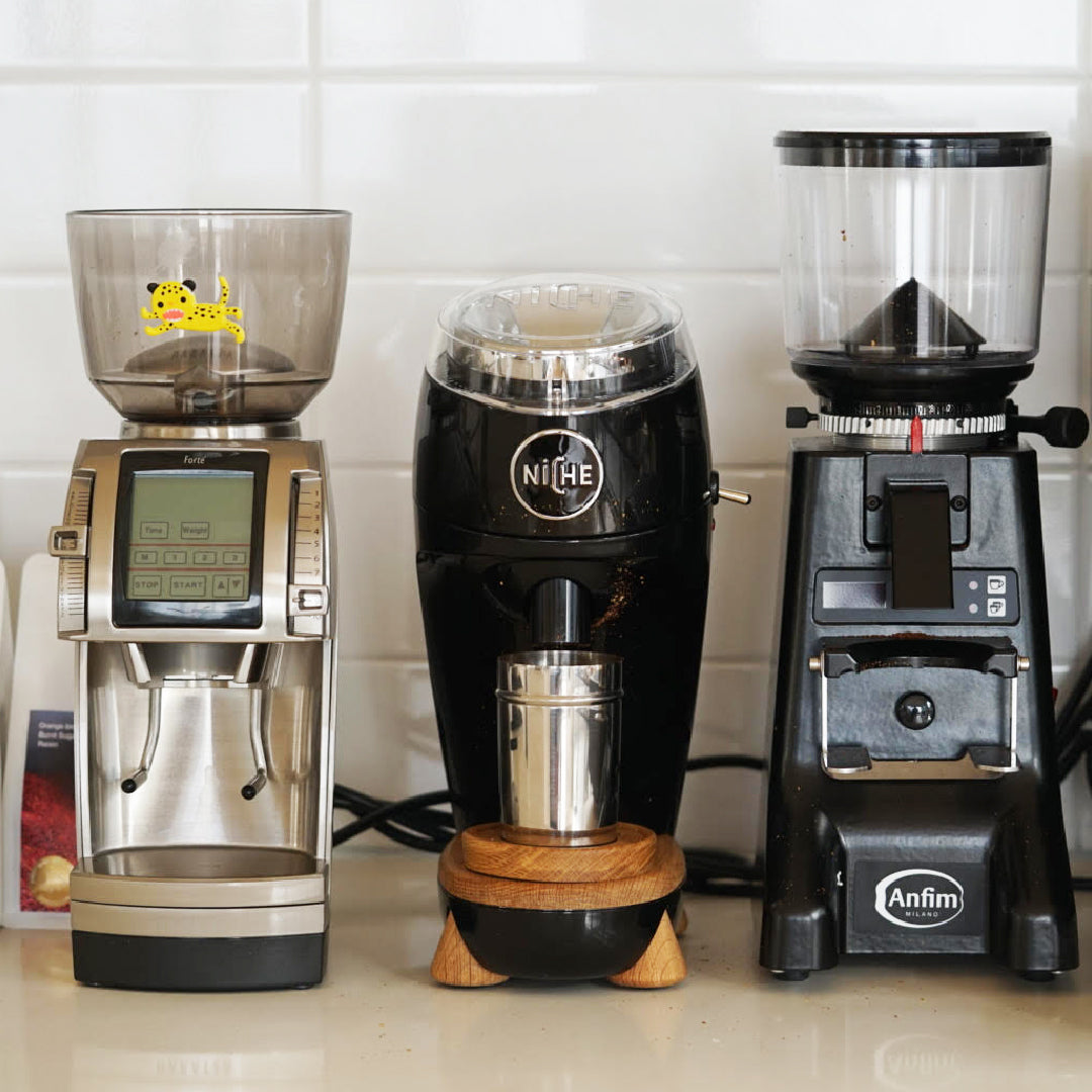 When fresh is best... Grind to Order! – Gabriel Coffee