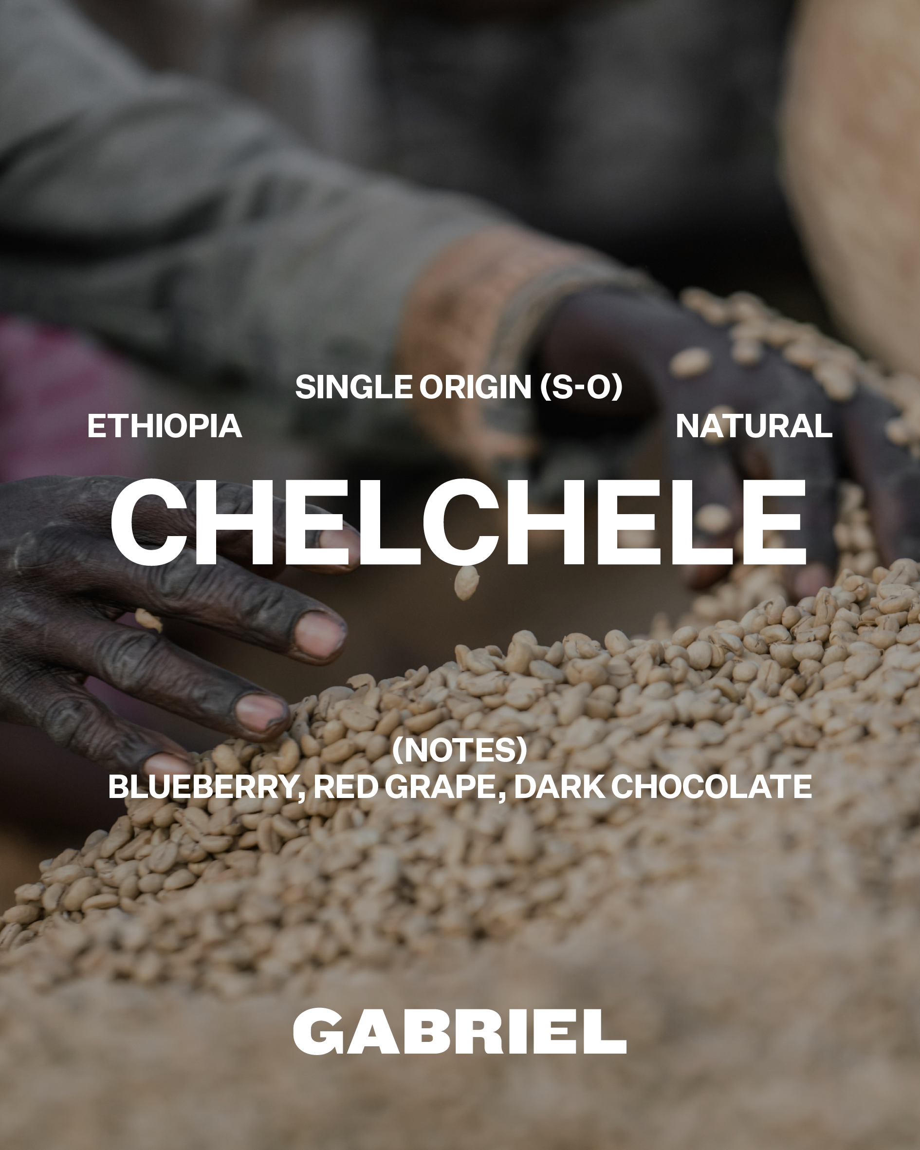Chelchele, Ethiopia - Espresso (500g) – Gabriel Coffee