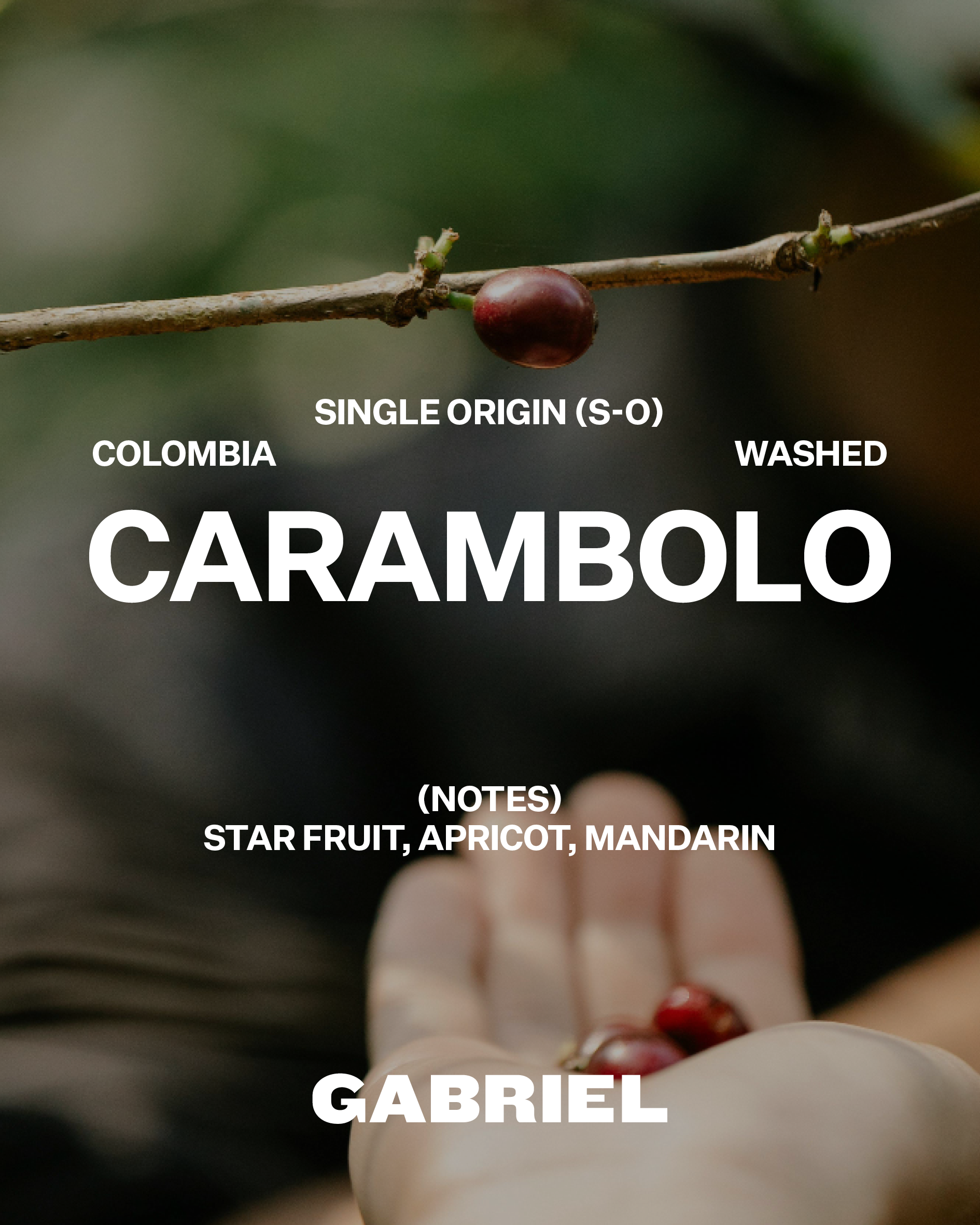 Carambolo, Colombia - Filter (250g) – Gabriel Coffee