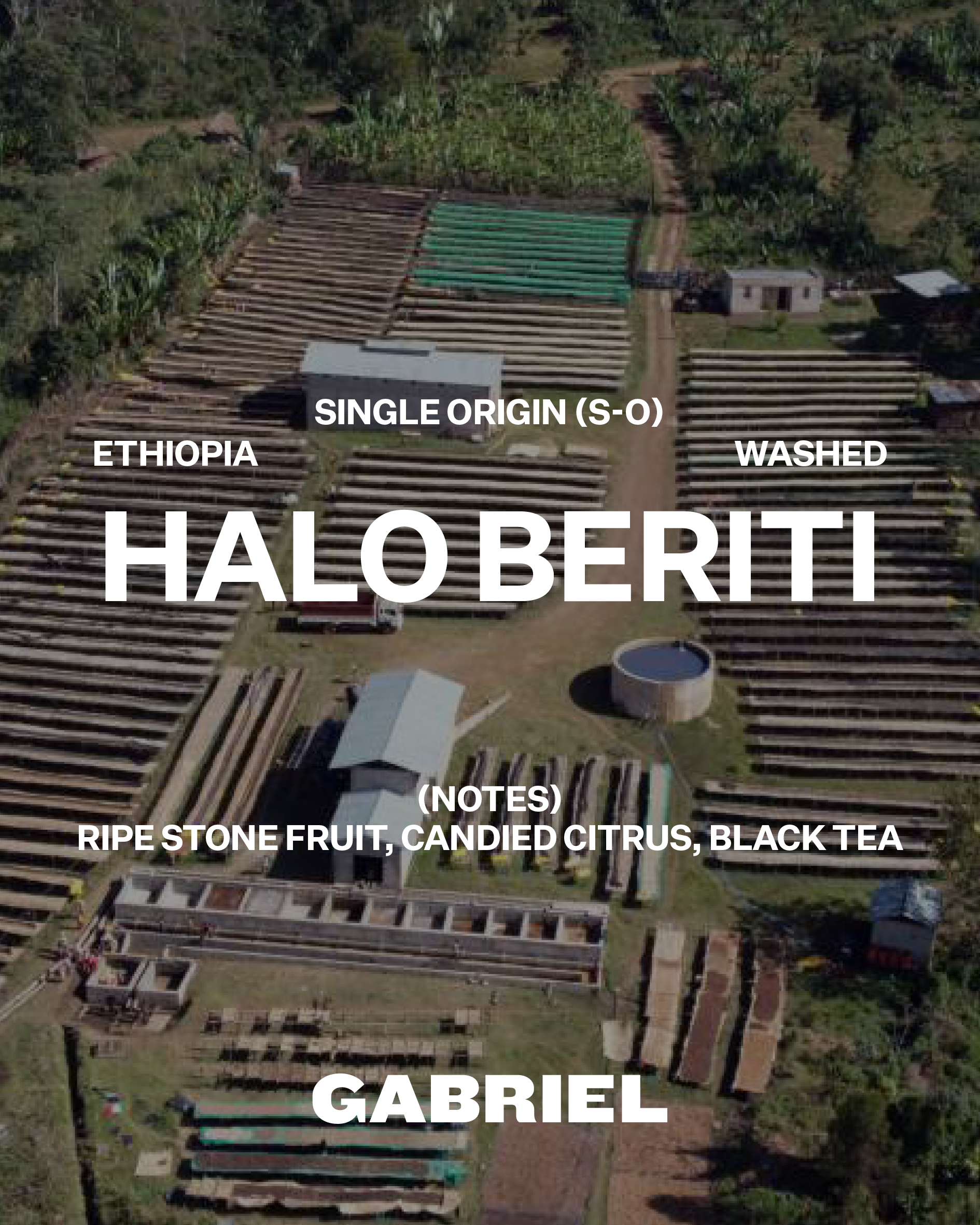Halo Beriti, Ethiopia - Espresso (500g) – Gabriel Coffee