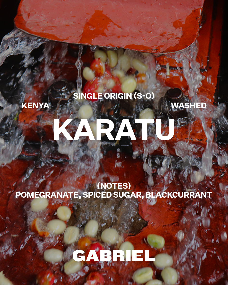 Karatu AB, Kenya - Espresso (500g) – Gabriel Coffee