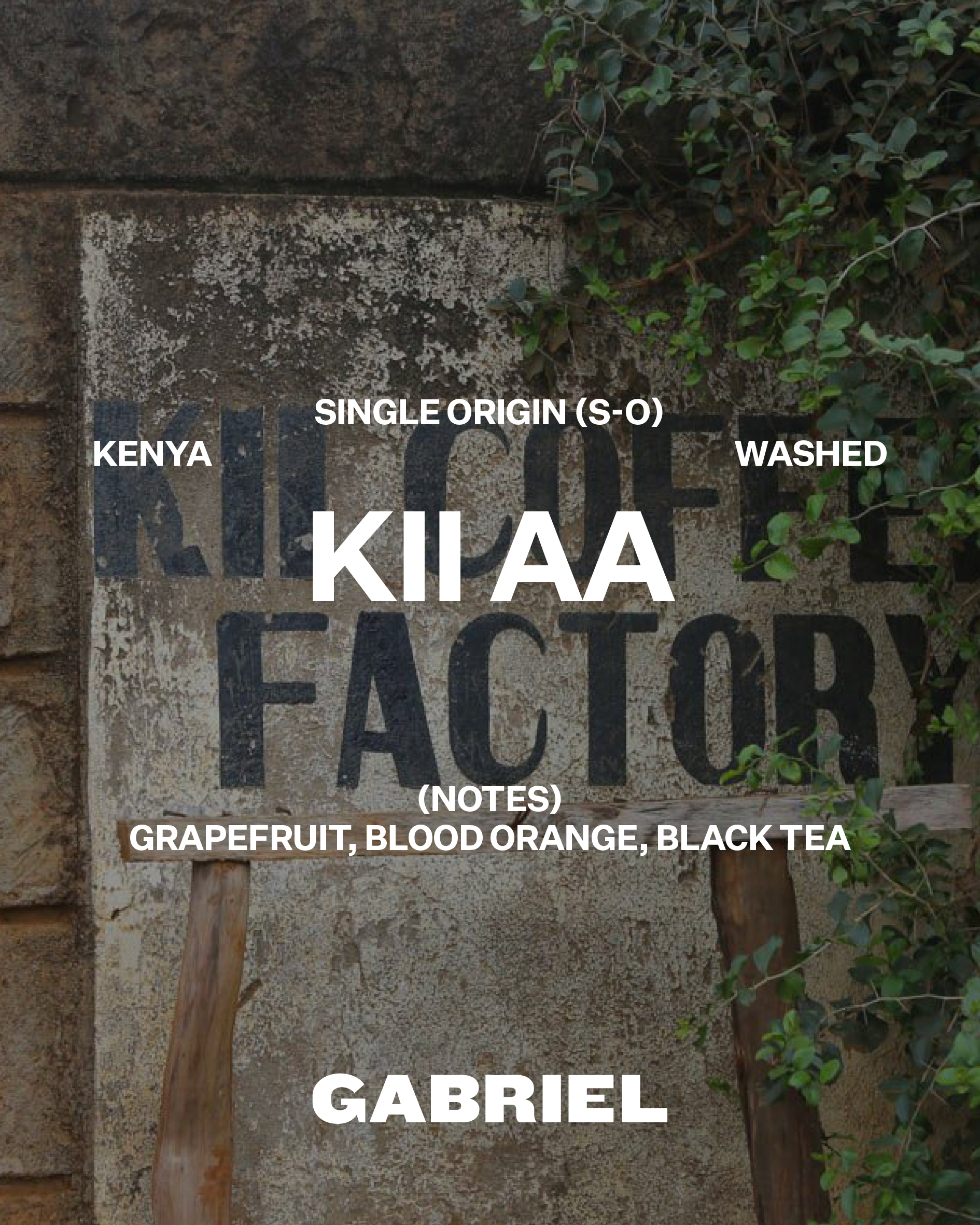 KII AA, Kenya - Filter (250g) – Gabriel Coffee