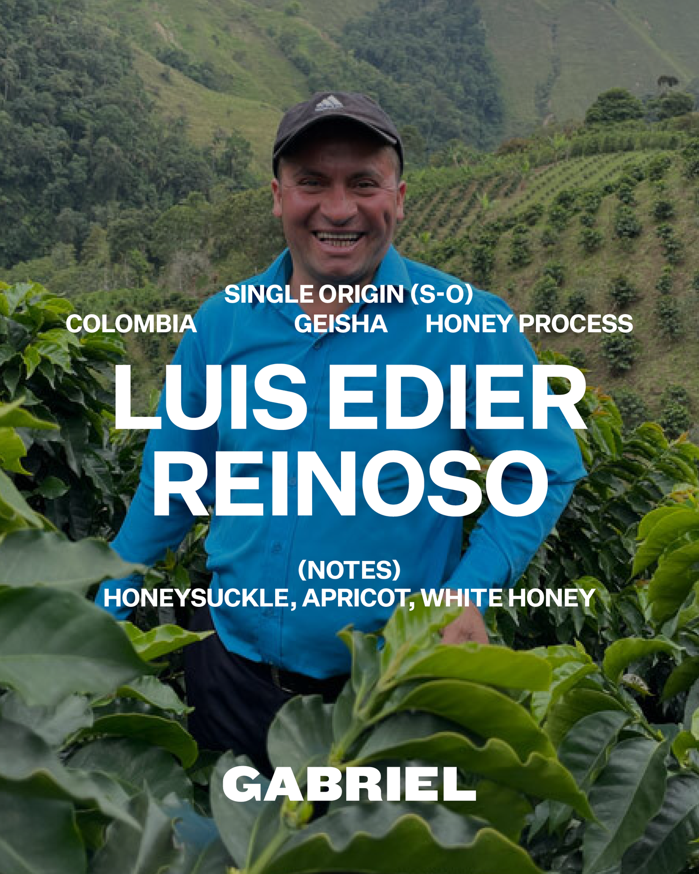 Luis Edier Reinoso, Colombia - Filter (250g) – Gabriel Coffee
