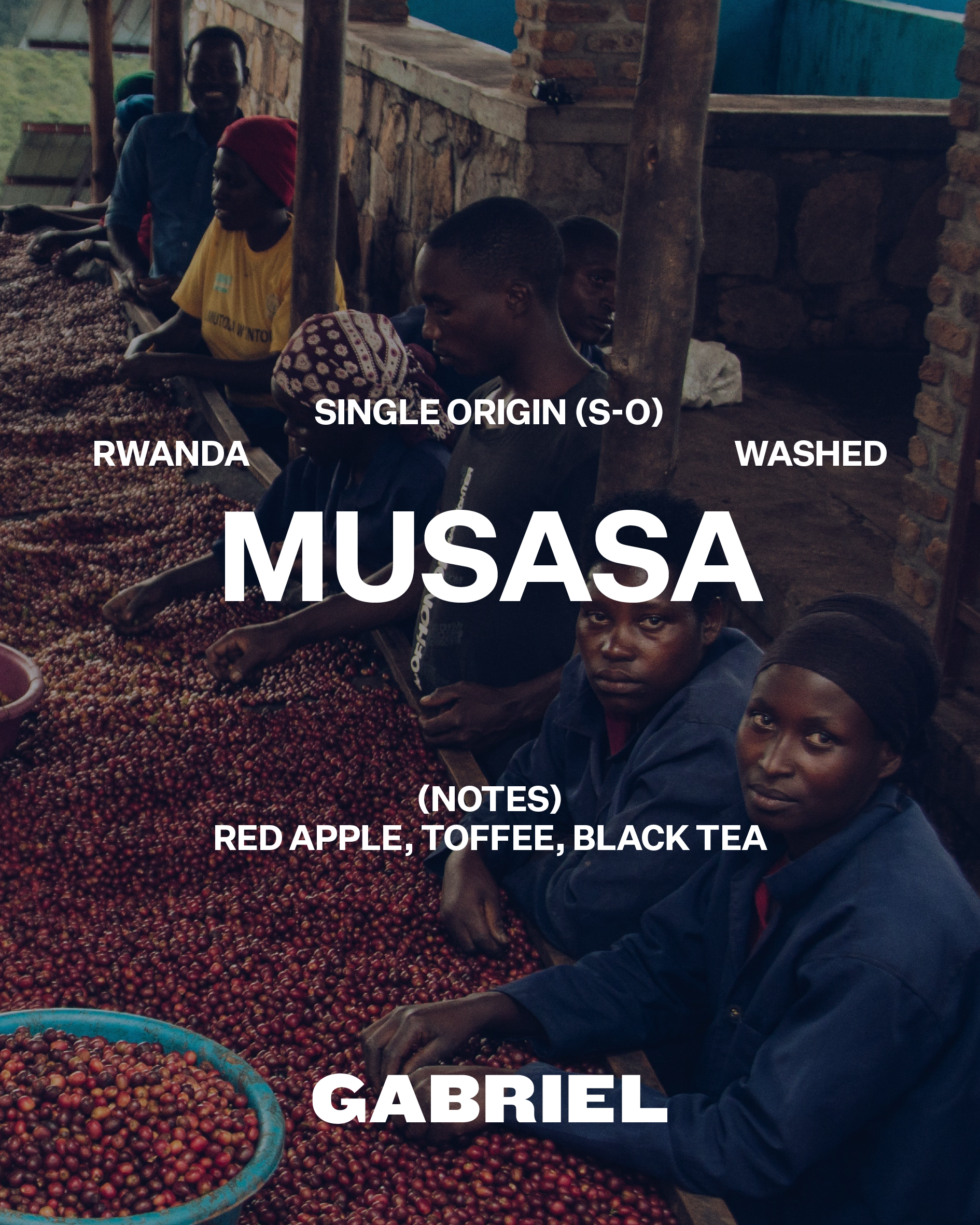 Musasa, Rwanda - Espresso (500g) – Gabriel Coffee
