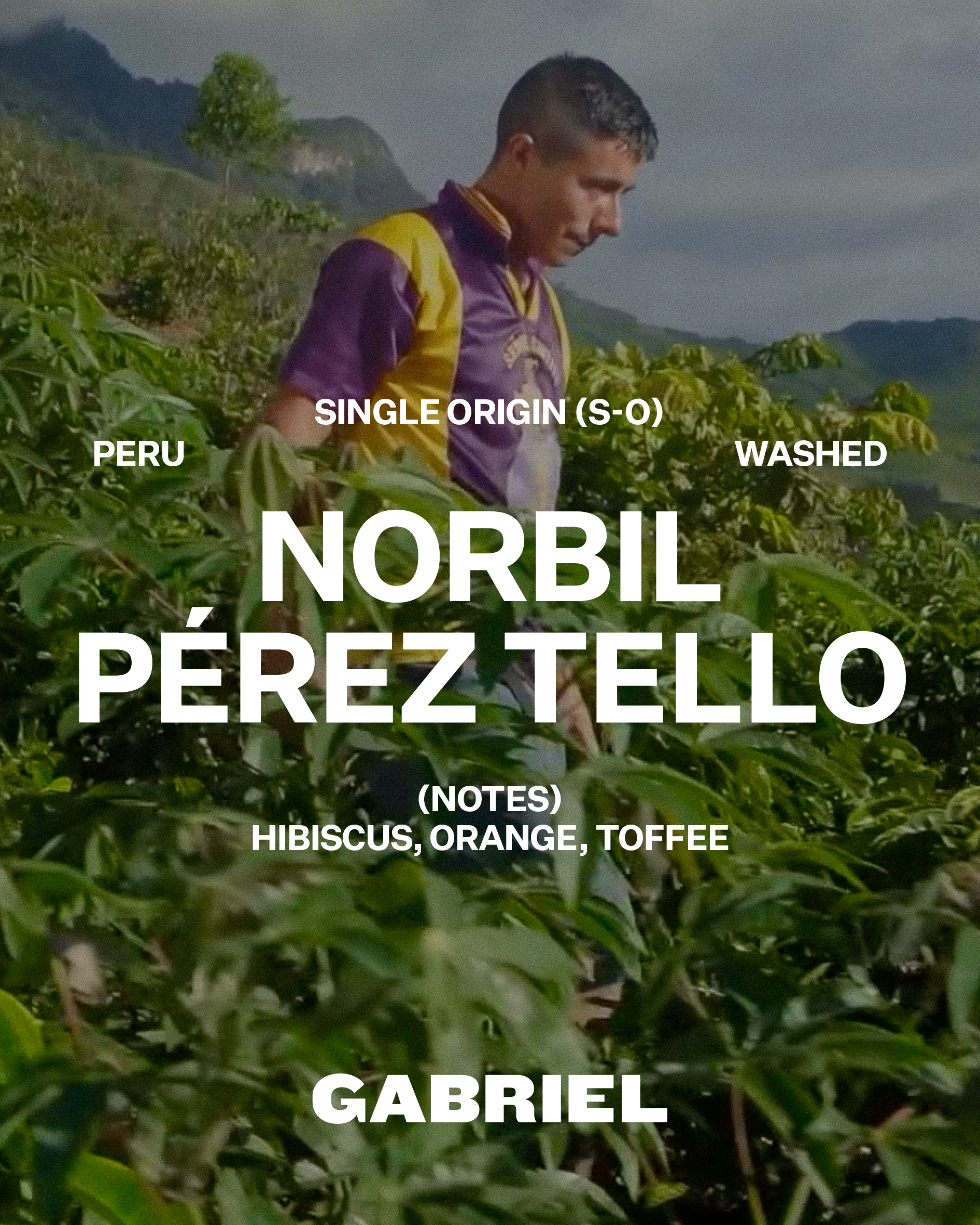 Norbil Pérez Tello, Peru - Filter (250g) – Gabriel Coffee