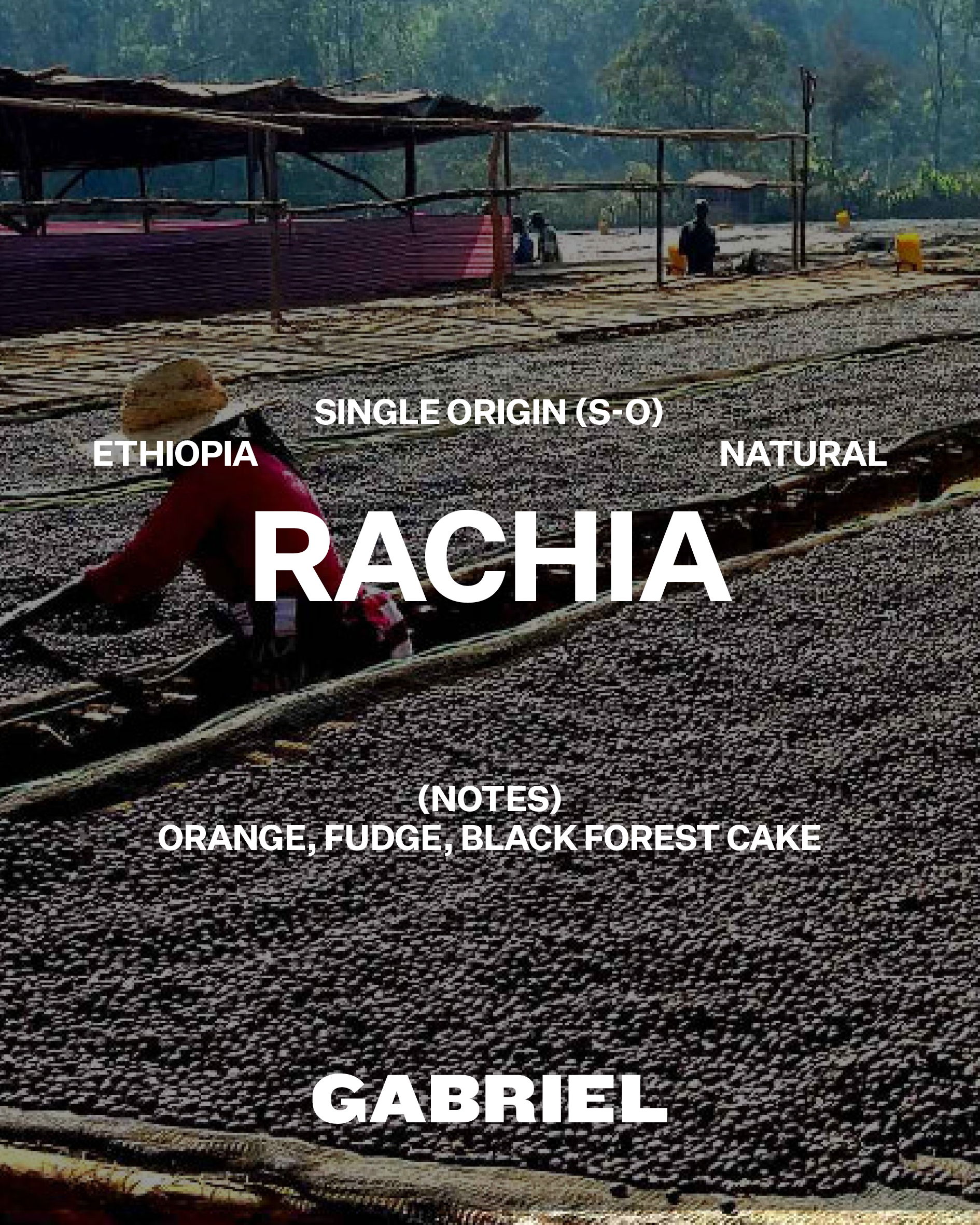 Rachia, Ethiopia - Espresso (500g) – Gabriel Coffee